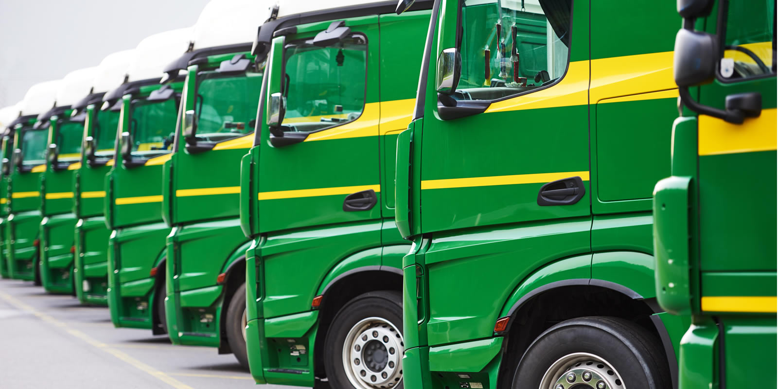 Roadrunner Logistics | Home :: Roadrunner Logistics